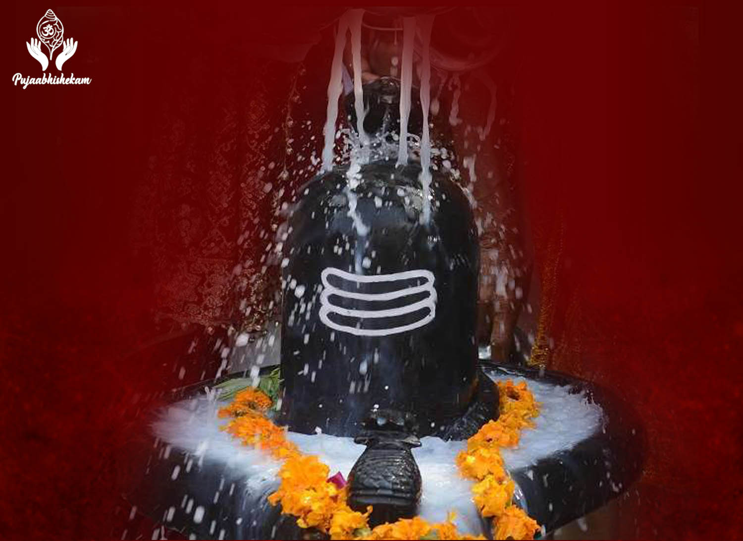 Rudrabhishek Puja Online, Worship Lord Shiva | Pujaabhishekam