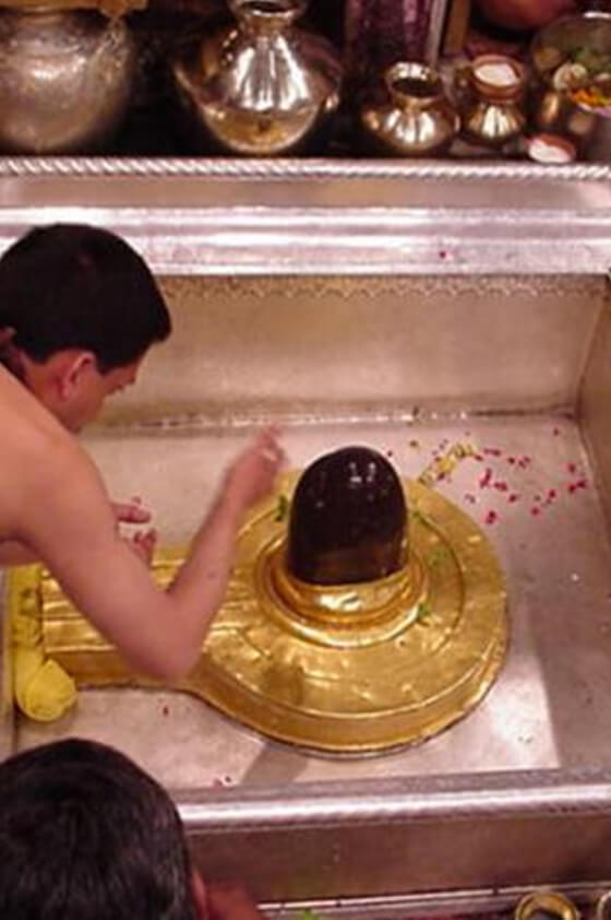 Puja at Kashi Vishwanath, Online Temple Booking, Pooja, Aarti, Live Darshan