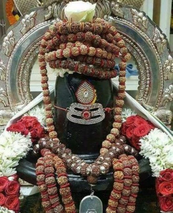 SHRINGAR PUJA - Pujaabhishekam